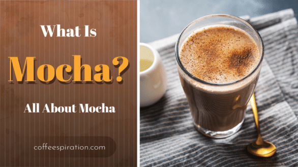 What is Mocha? All About Mocha
