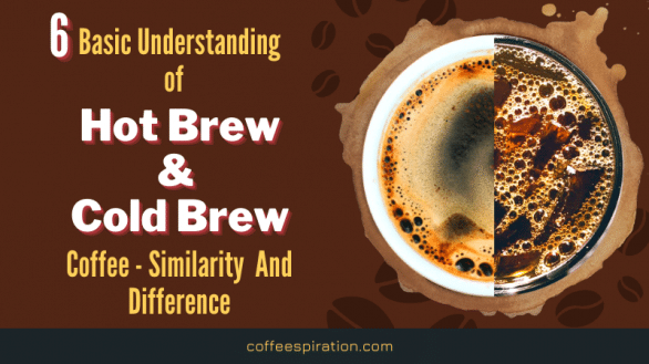 6 Basic Understanding of Hot Brew And Cold Brew Coffee