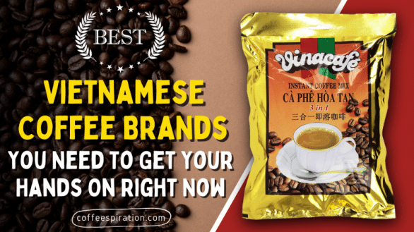 Best Vietnamese Coffee Brands You Need To Get Your Hands On Now